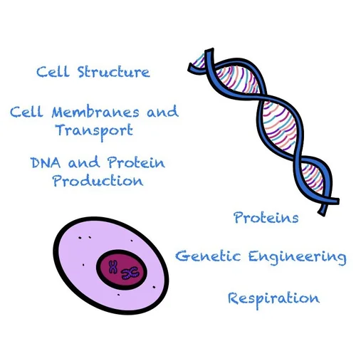 Get the Grade - National 5 Biology | National 5 and Higher Physics ...