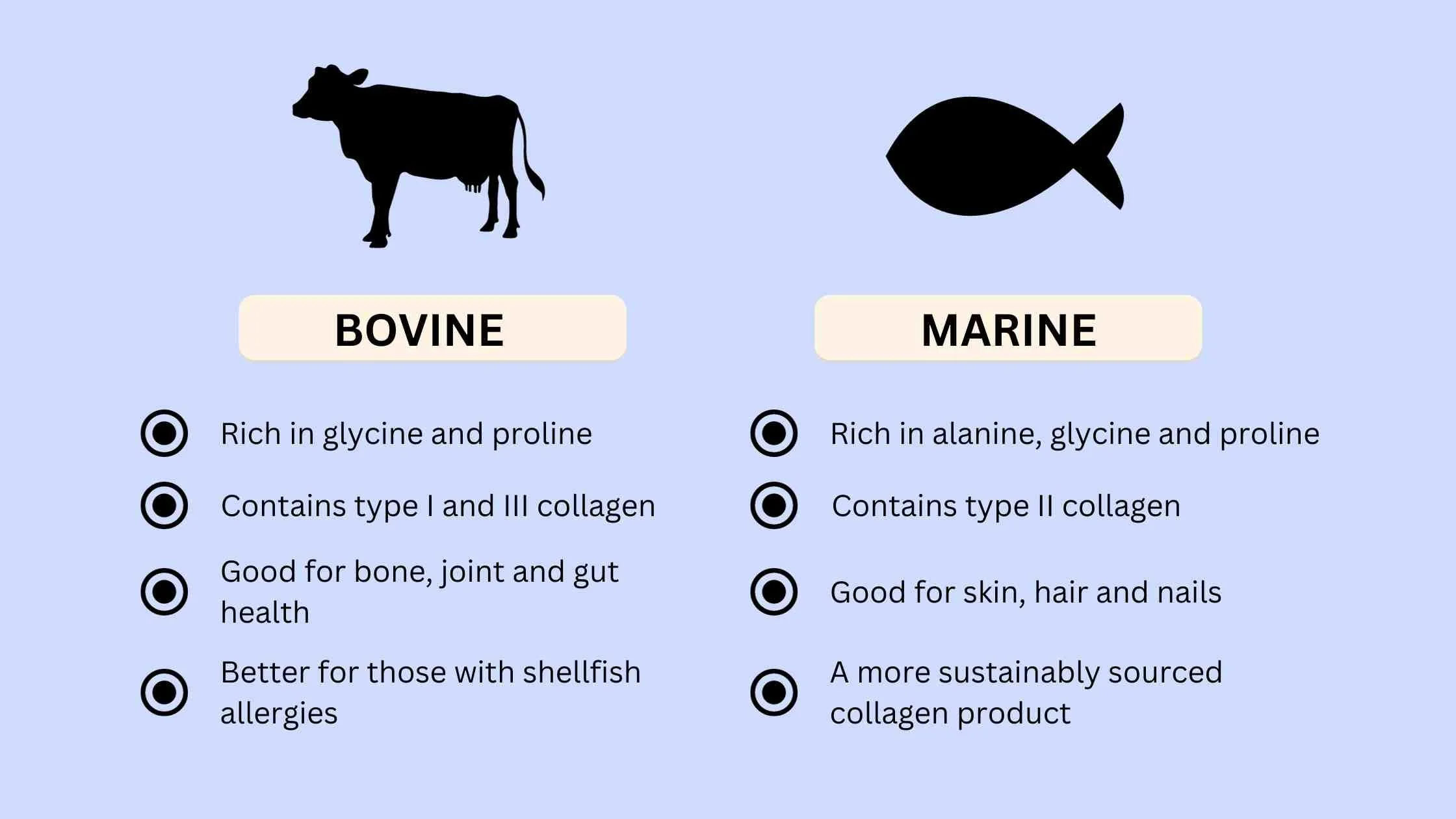 Marine Collagen vs Bovine Collagen – Which Is Better? — Recovery Guru