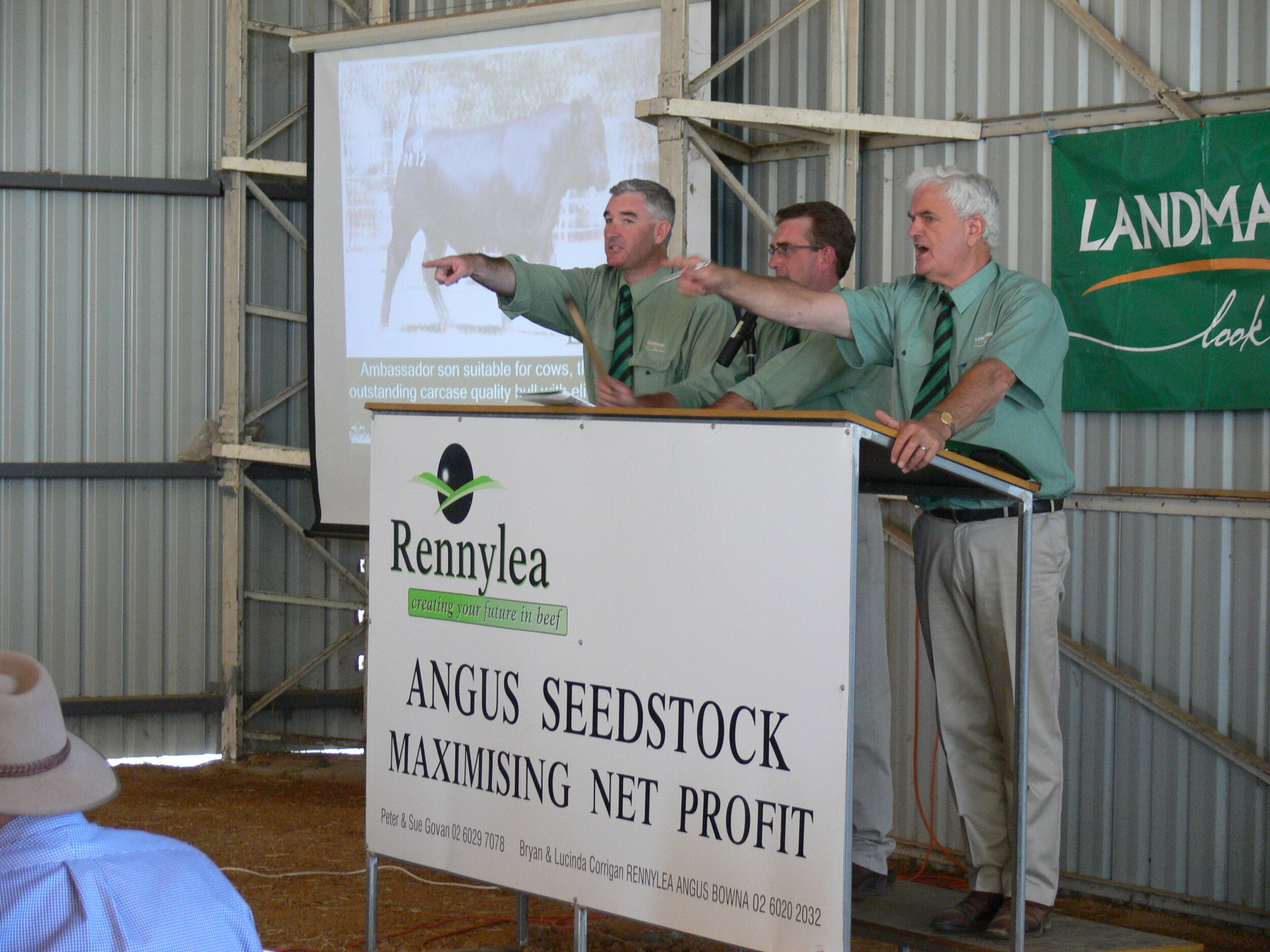 Our Story — Rennylea Angus