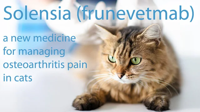 Veterinary Prescriber