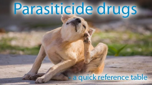 Veterinary Prescriber