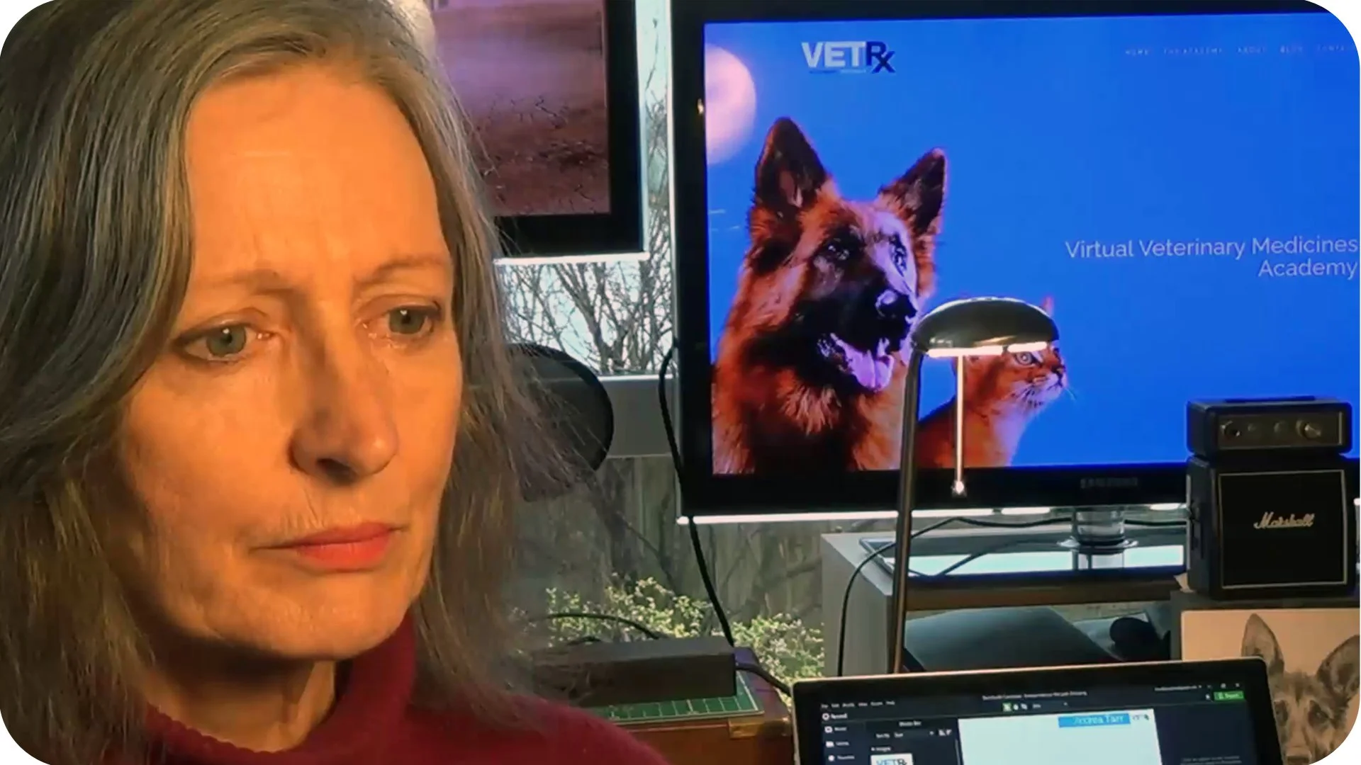 Veterinary Blogs — Veterinary Prescriber