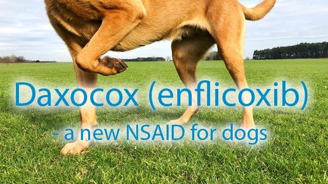 Veterinary Prescriber