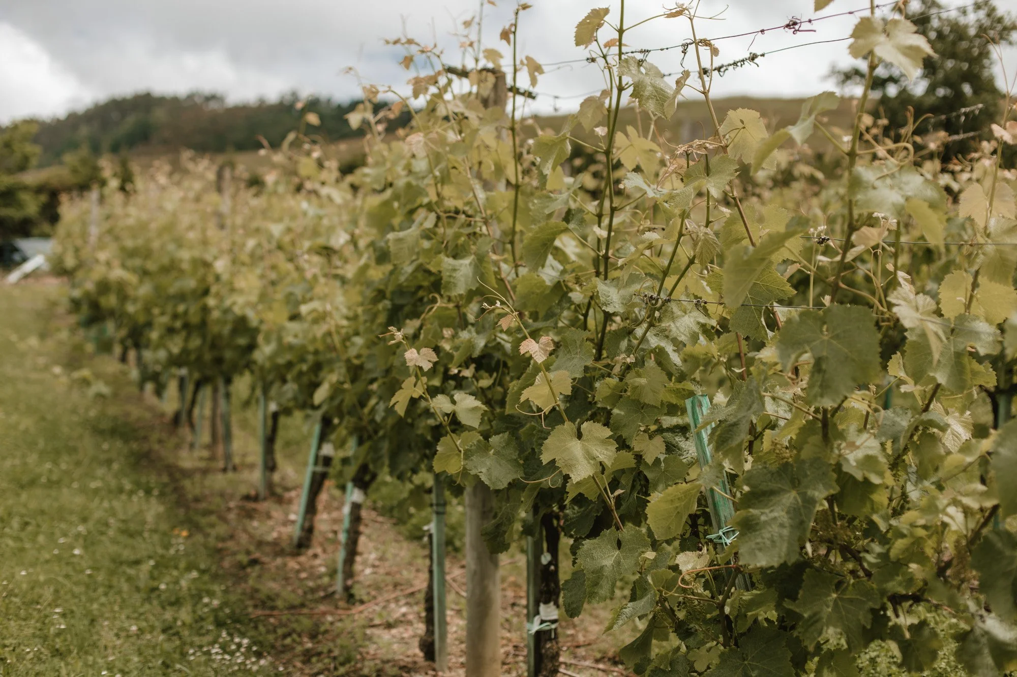 3 Rustic Wedding Venues near Vienna — Wedding Photographer Vienna ...