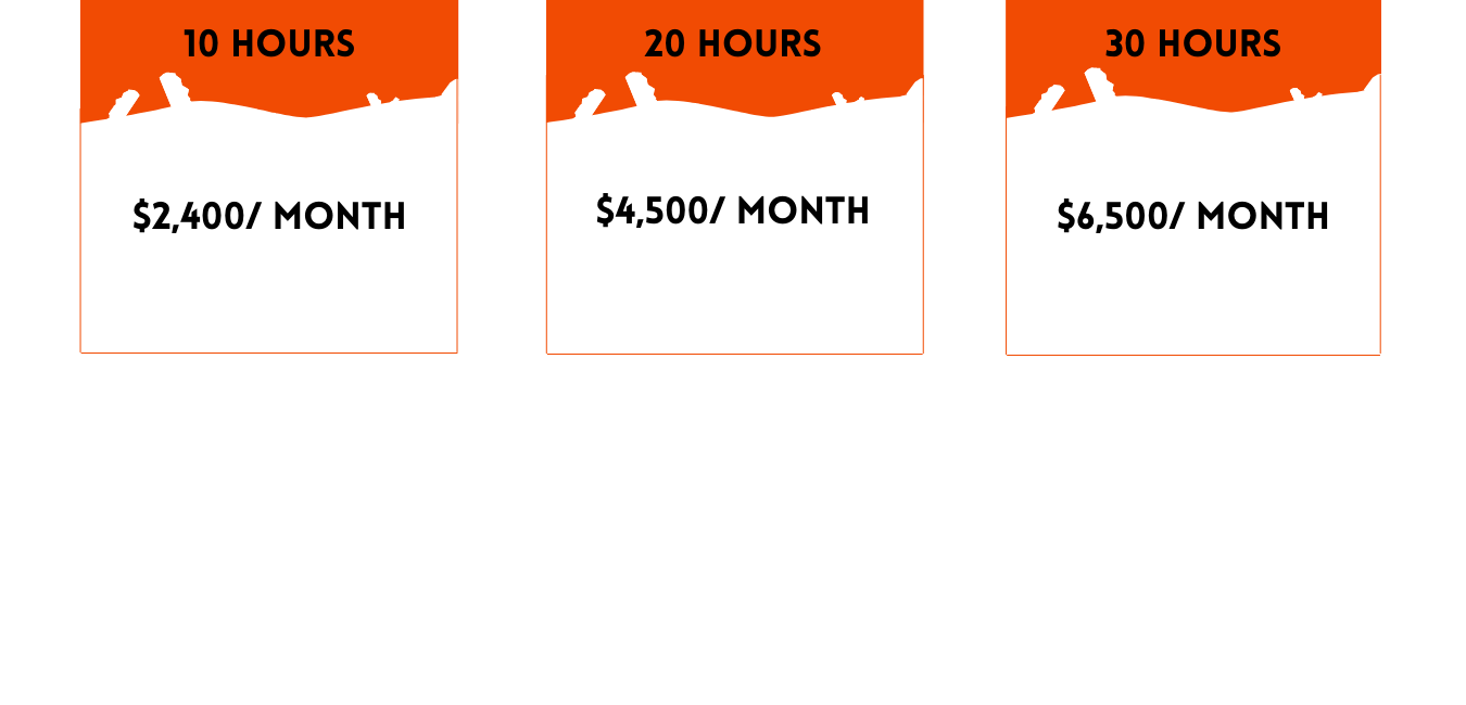 Monthly Retainer — ProjX