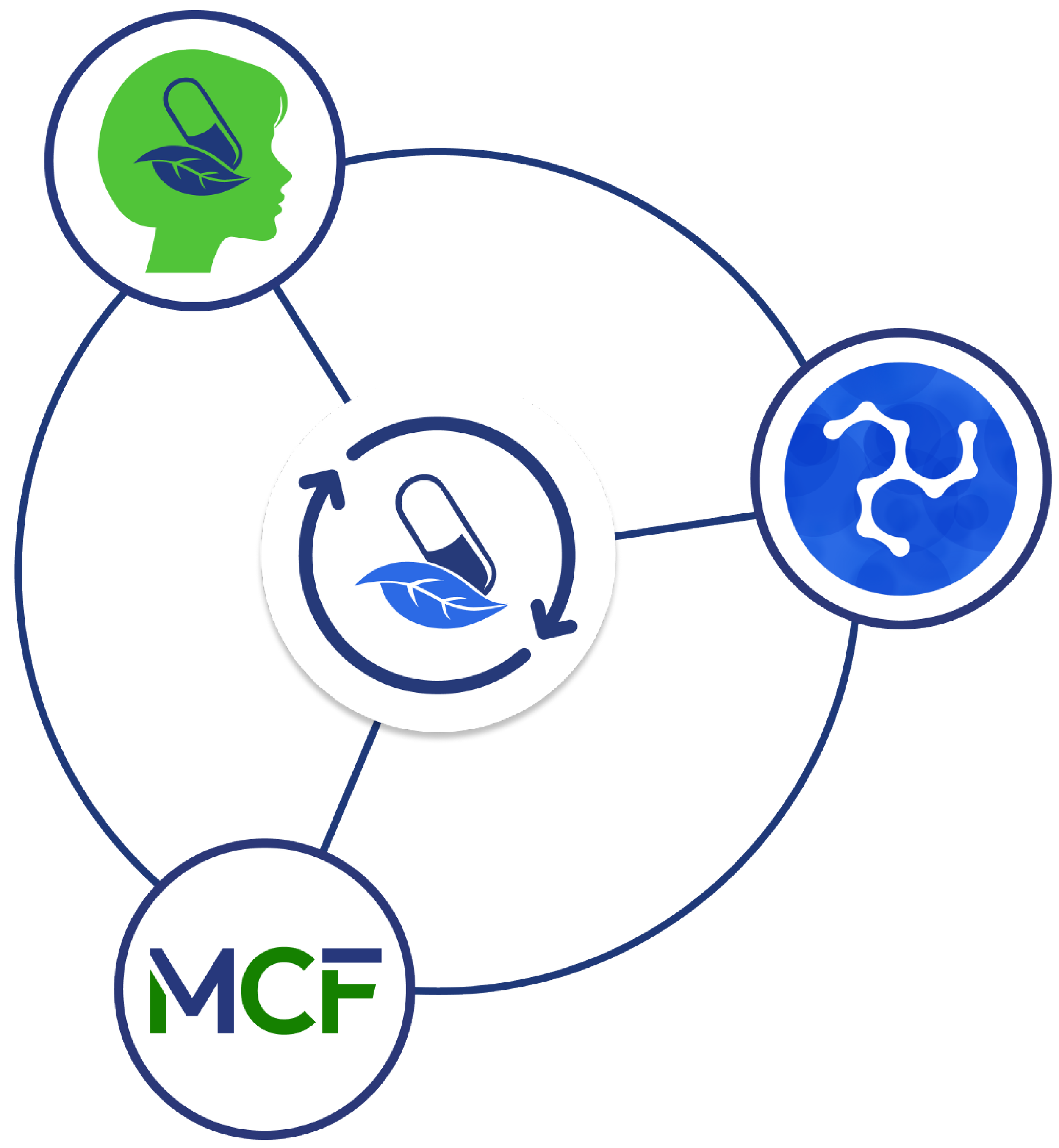 YewMaker: Creating Solutions to Make Medicines Sustainable