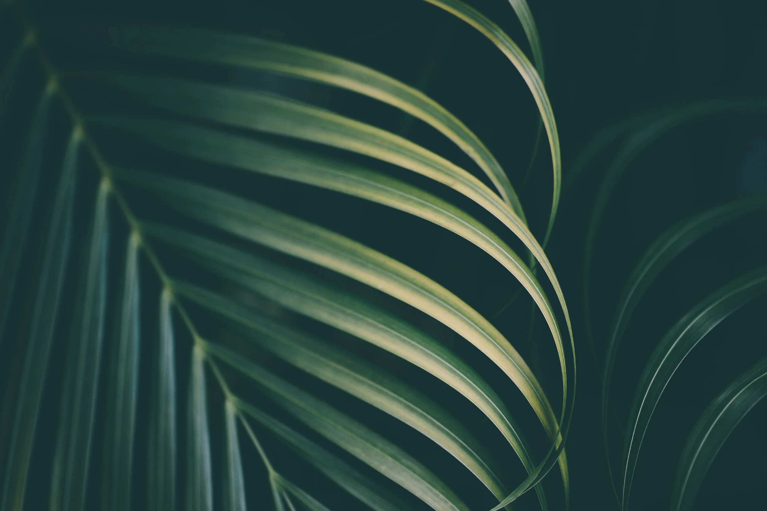 Magic Flowers and Gifts | Brighton & Hove Based Floral Design Services ...