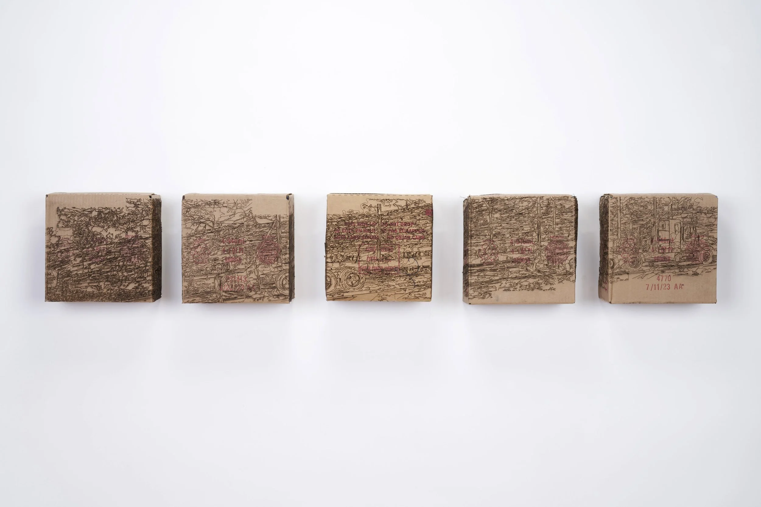 Forest Production — Thomas Schram