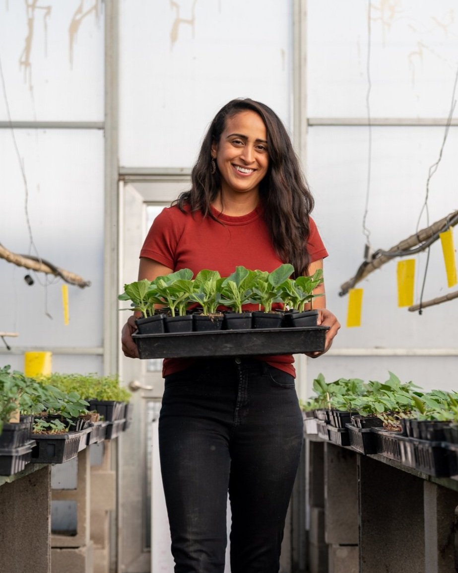 Volunteer — Deep Medicine Circle