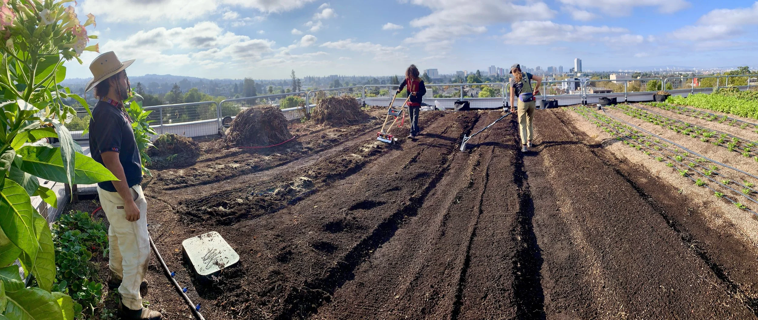 Deep Medicine Circle