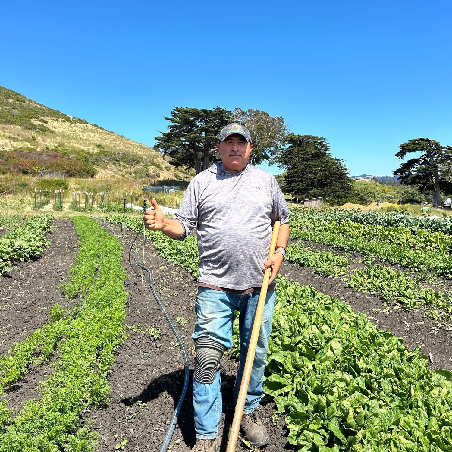 The Circle — Deep Medicine Circle