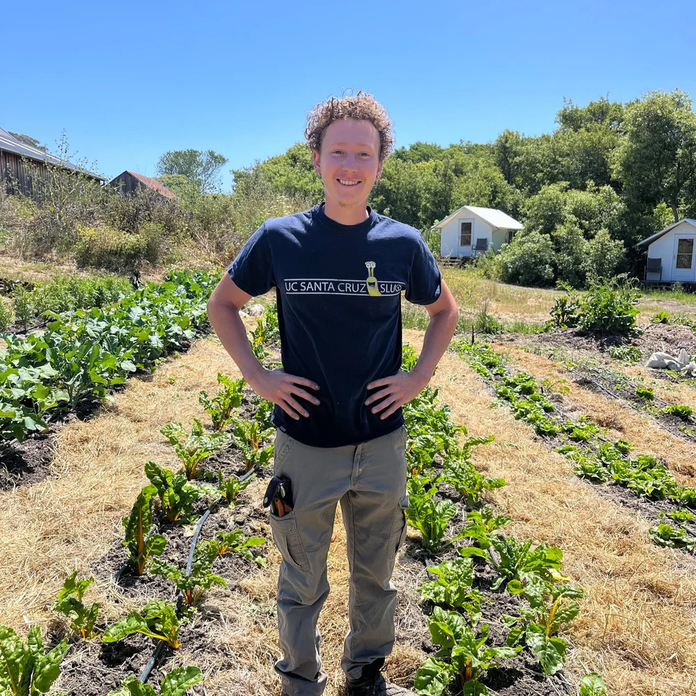 The Circle — Deep Medicine Circle