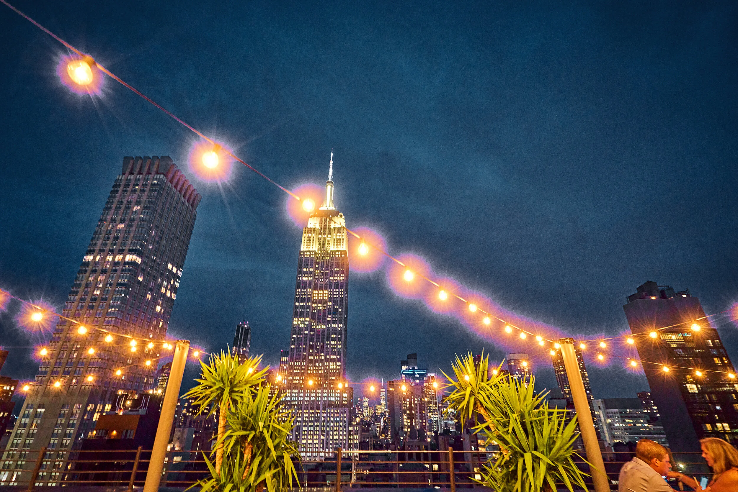 Daintree Rooftop & Lounge