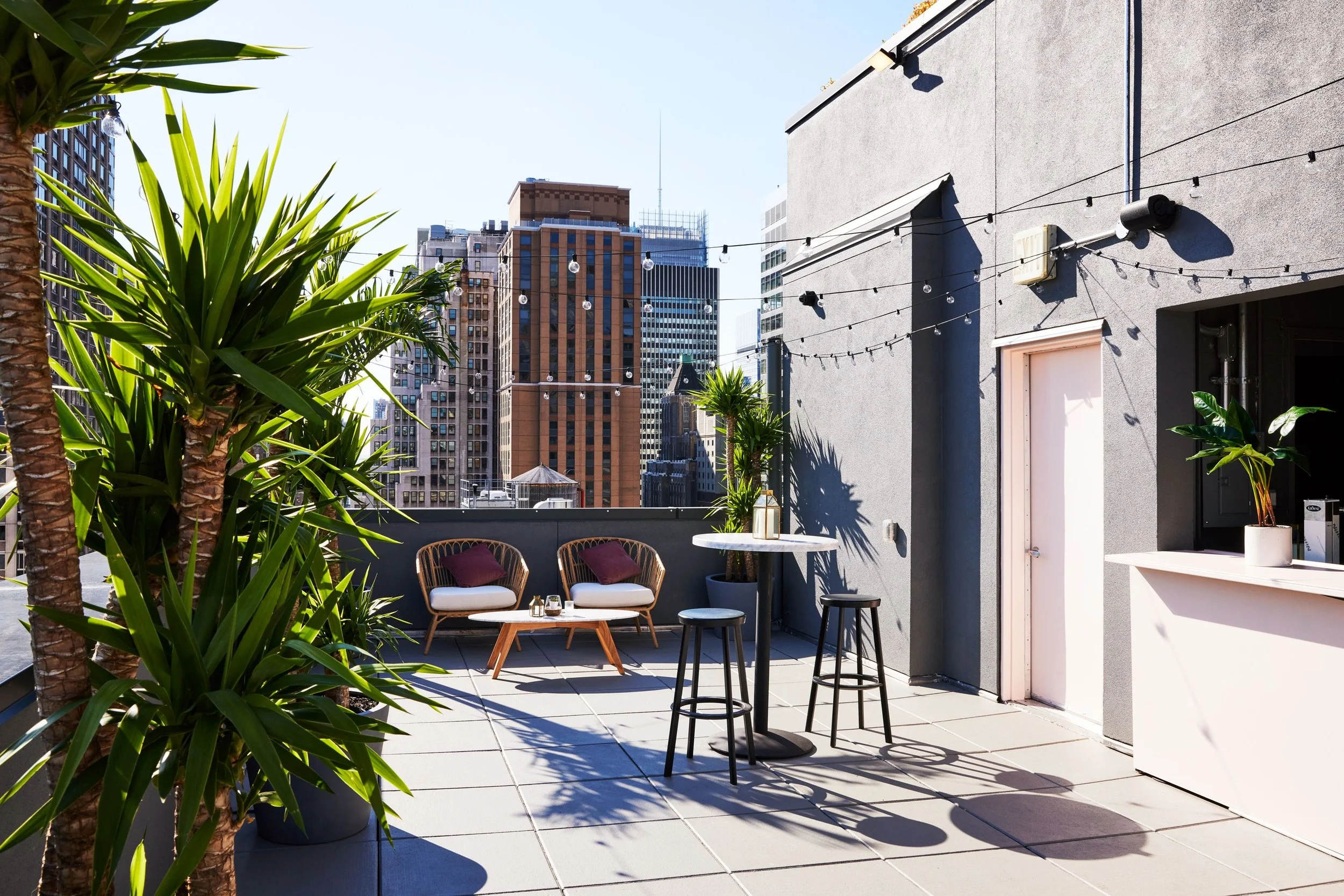 What the Press Says About Us — Daintree Rooftop & Lounge