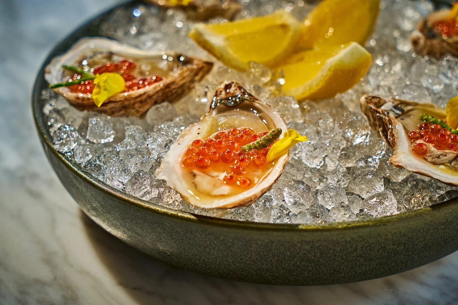 Daintree Rooftop & Lounge