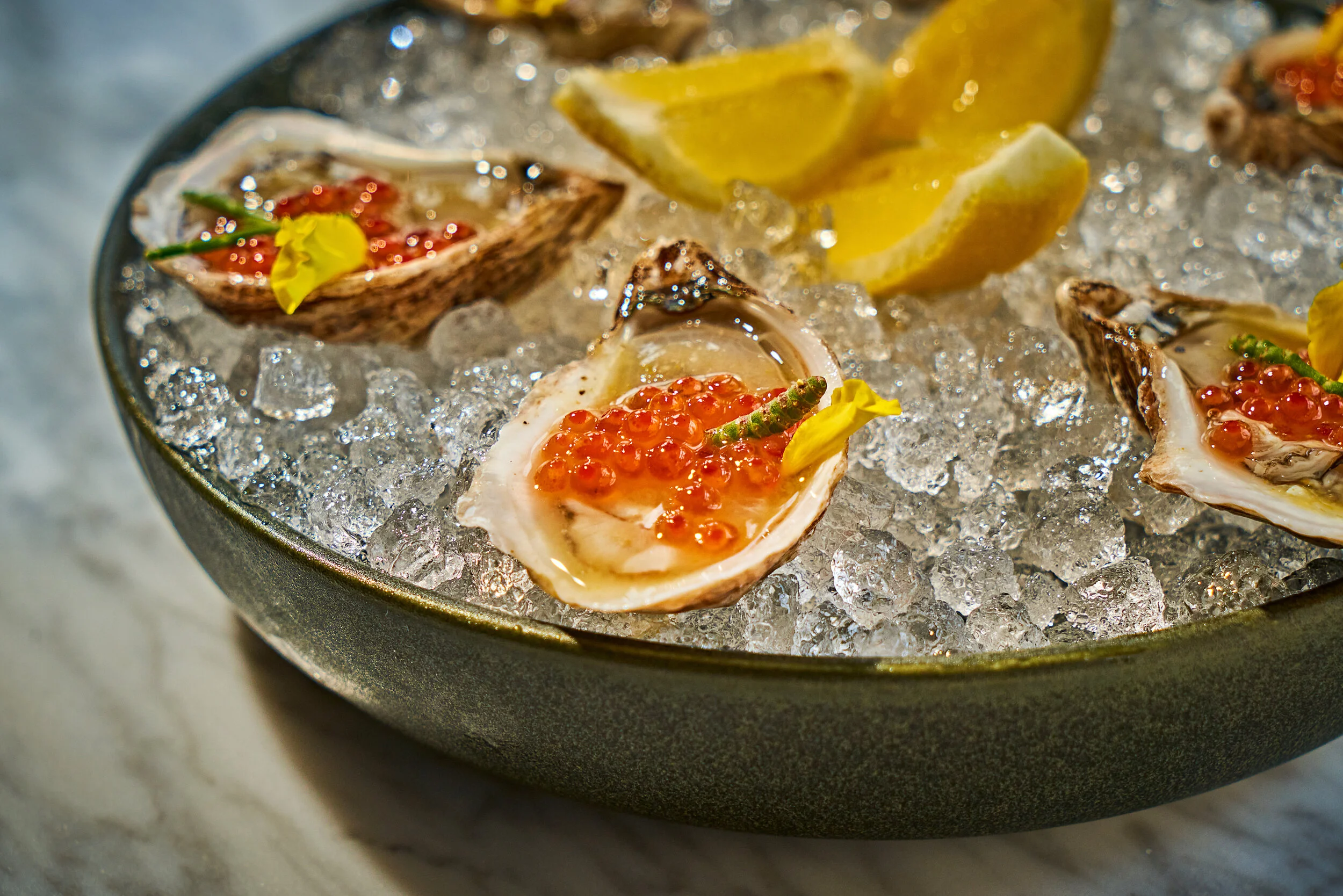 Daintree Rooftop & Lounge