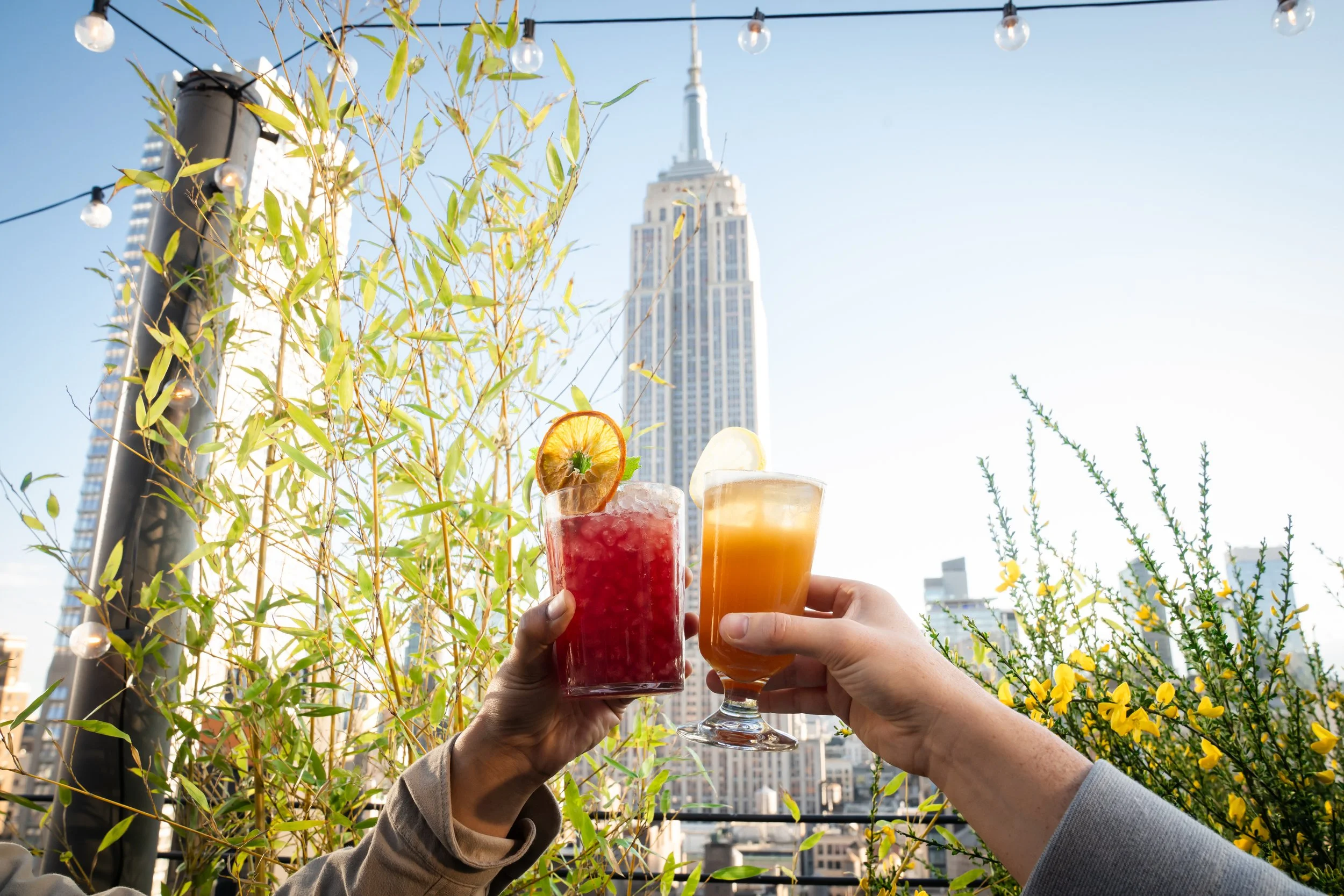 Rooftop Bar & Lounge in Manhattan – Daintree Rooftop & Lounge