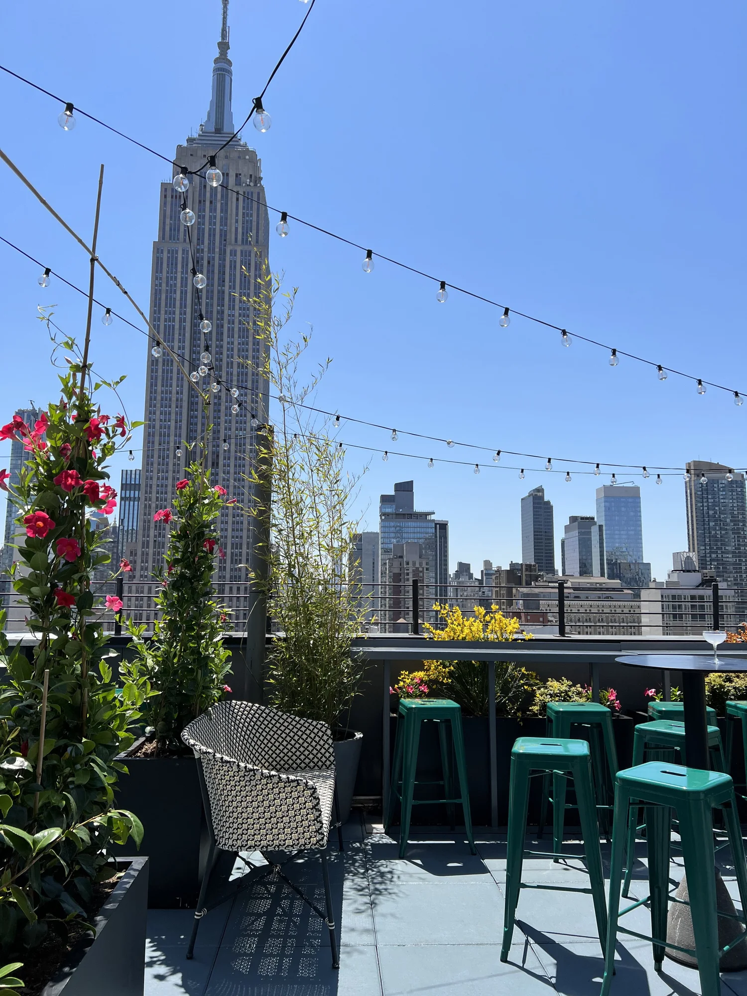 What the Press Says About Us — Daintree Rooftop & Lounge