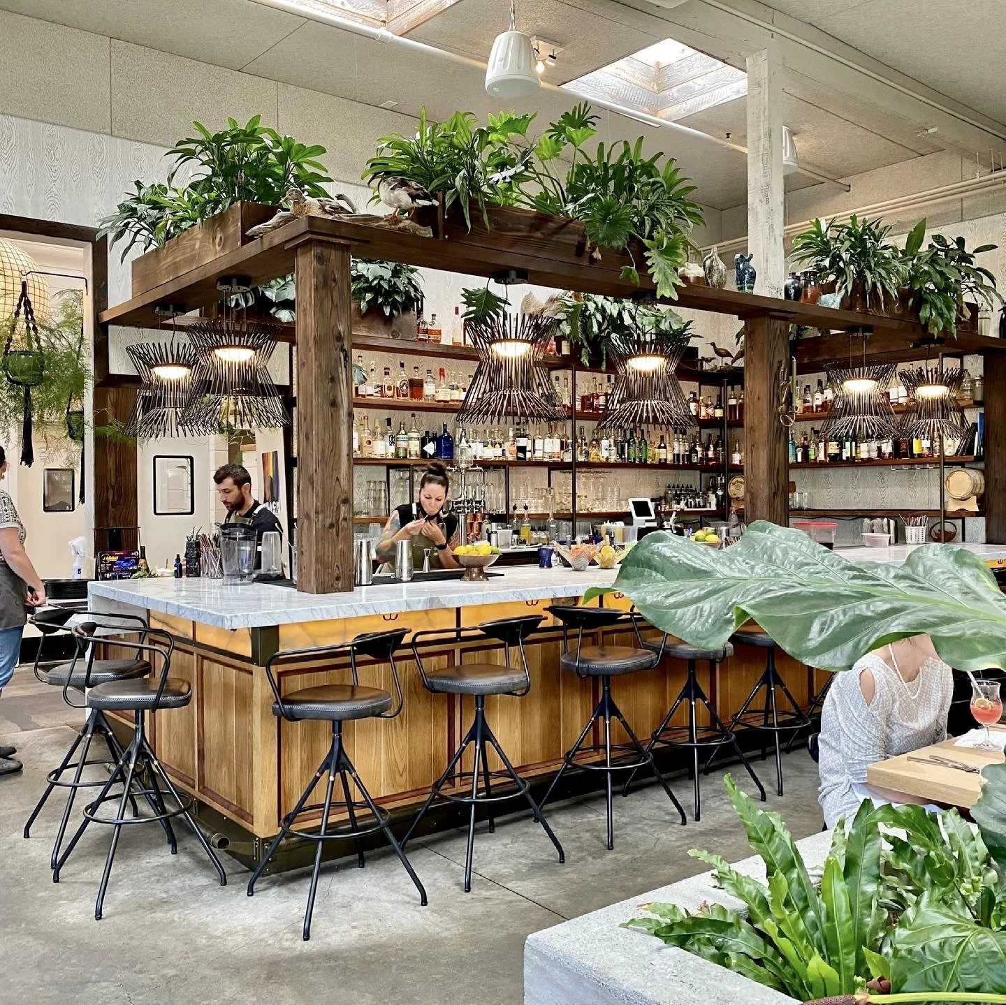 Forestree Collective - Climate beneficial furniture and wood products ...