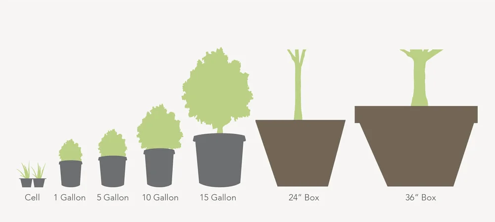 Buying Plants: A How-to Guide for Navigating a Nursery — Yardkit