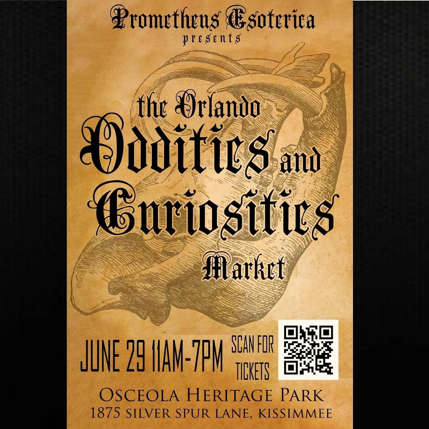 The Oddities Museum, Inc.