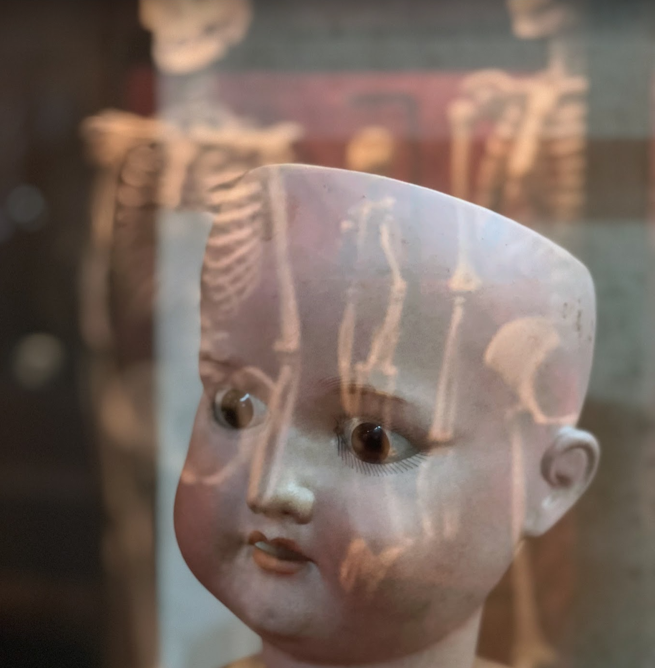 The Oddities Museum, Inc.