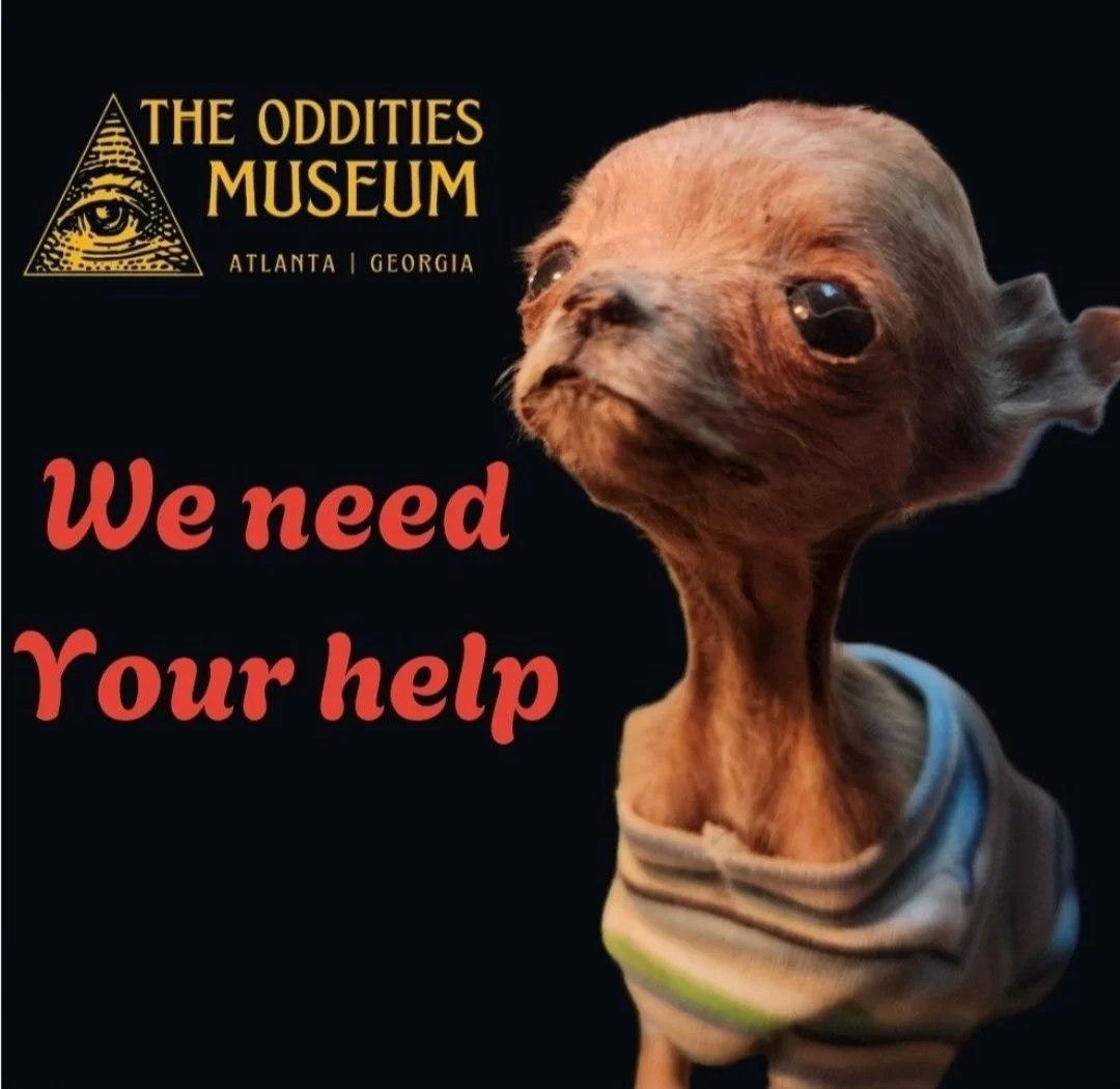 The Oddities Museum, Inc.