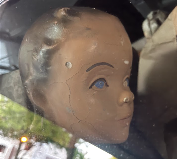 About 1 — The Oddities Museum, Inc.
