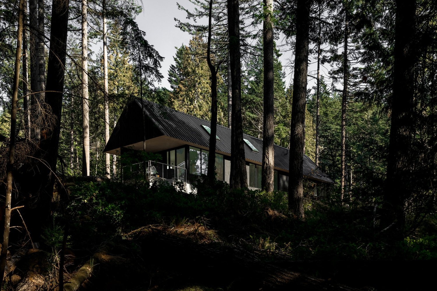 Forest House: Custom Home on Bowen Island | SM Studio