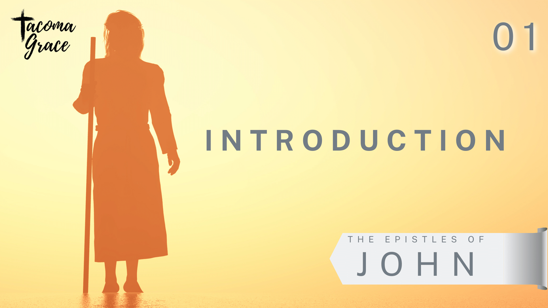 John s Epistles E Dane Rogers john-s-epistles-e-dane-rogers