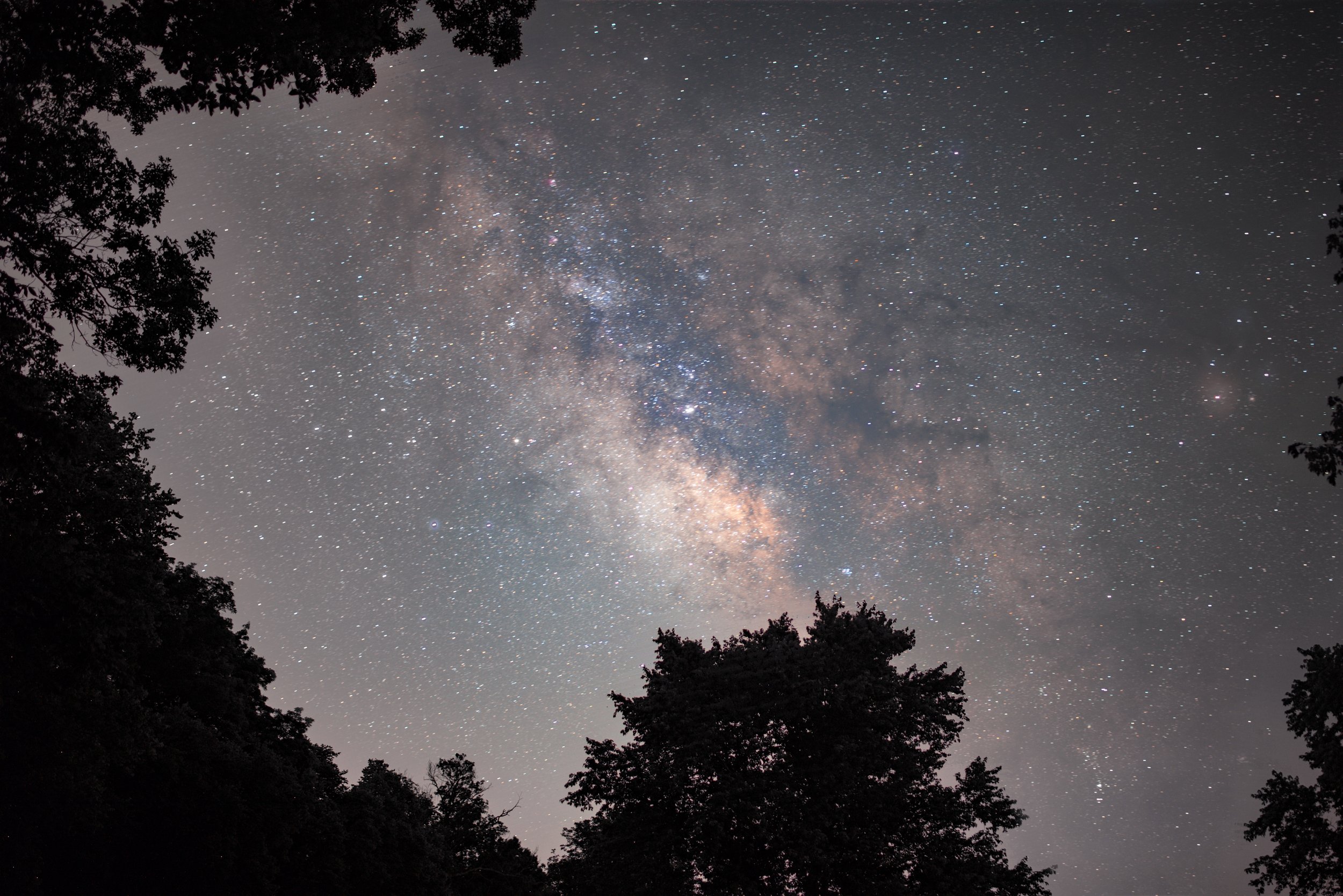 Gallery 3 — Chasingthemilk 2.0