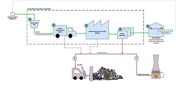 Fixing the Recycling System - Take Action Now! — Modern Species ...