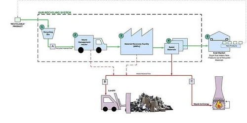 Fixing the Recycling System - Take Action Now! — Modern Species ...