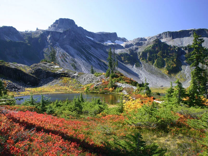 Cascadia Overview — Cascadia Partner Forum