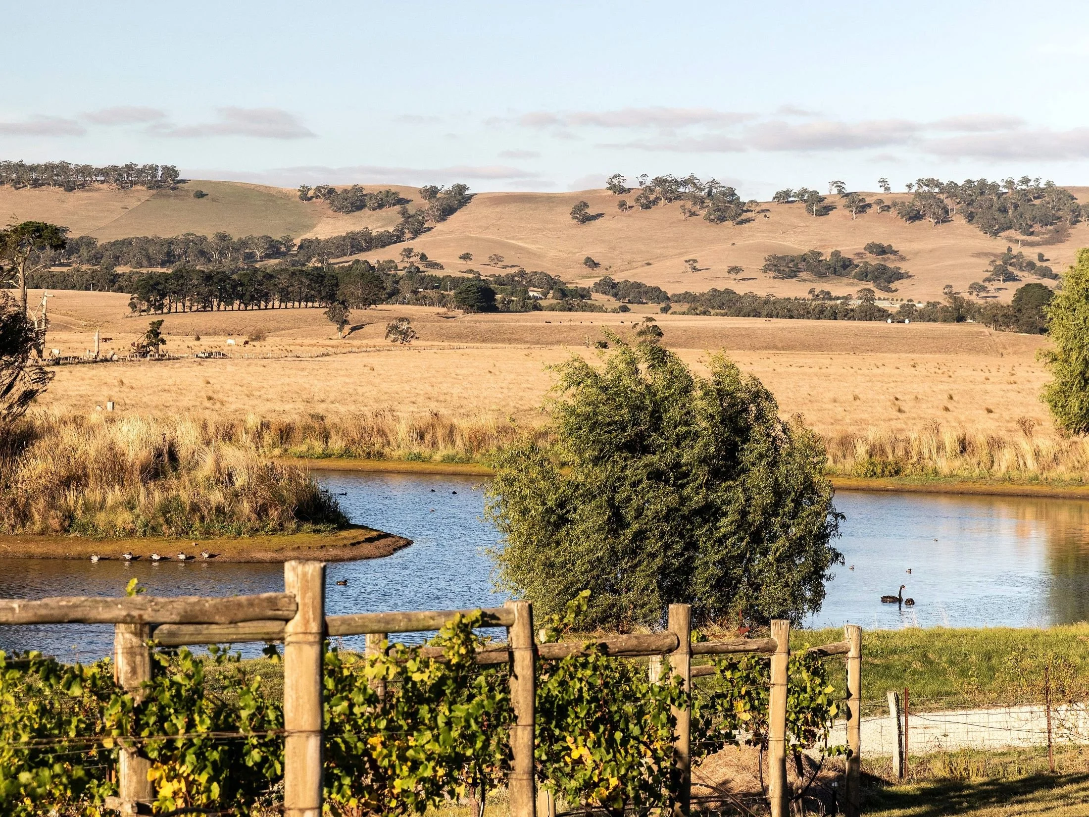 Cleveland Winery Homestead c. 1889, Boutique Heritage Accommodation ...