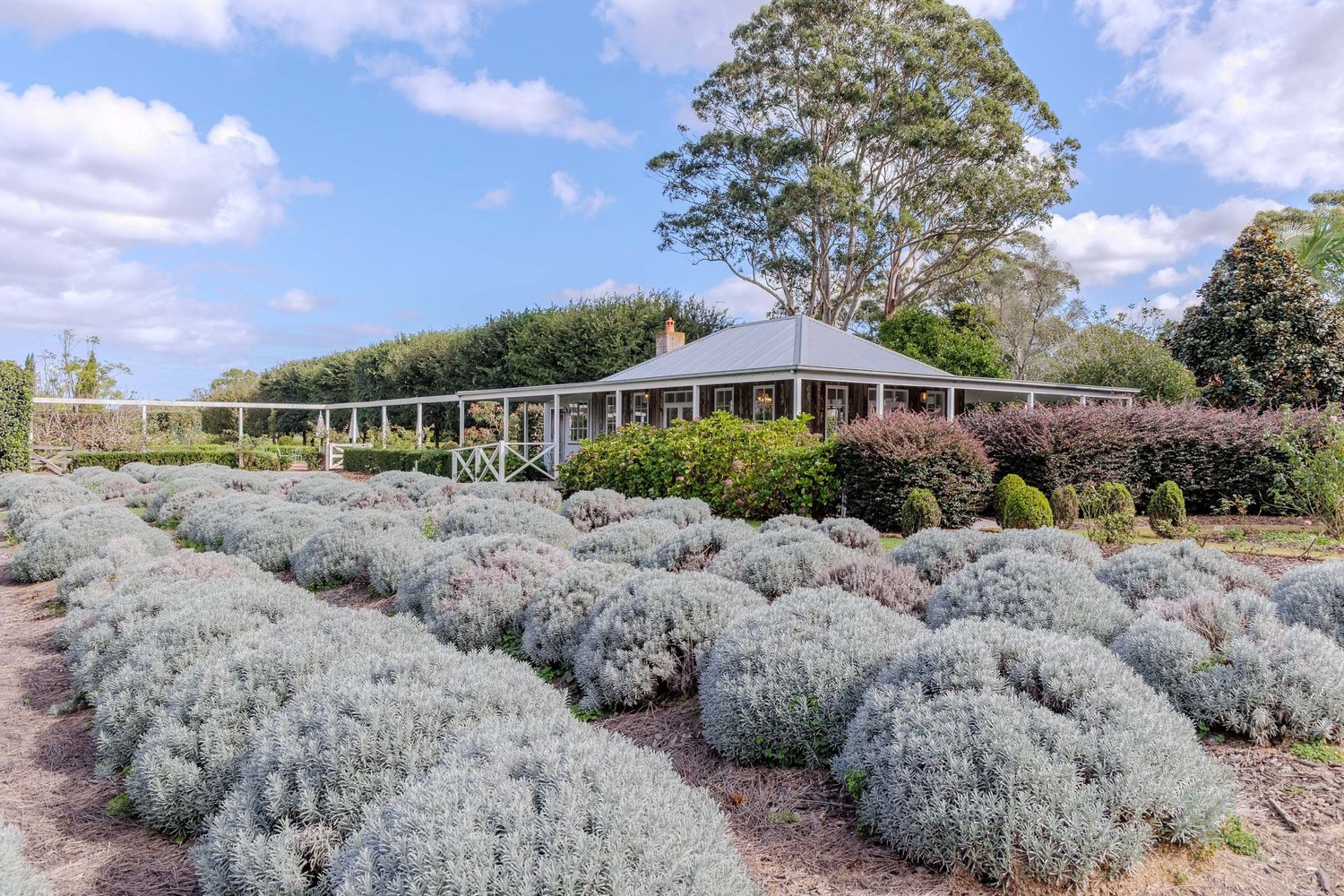 The Merribee c. 1820, Heritage Homestead Accommodation, Numbaa ...