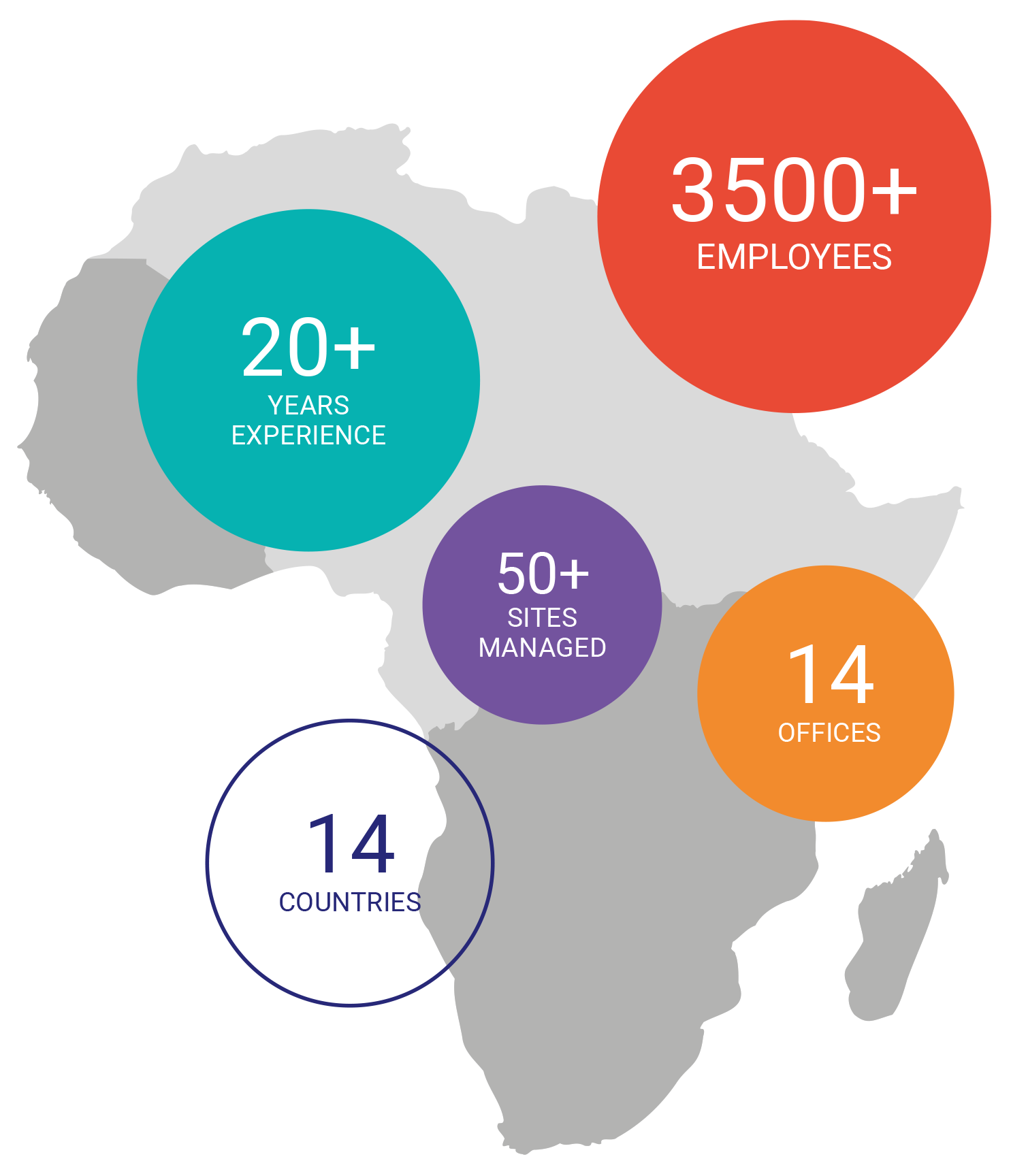 International Facilities Services