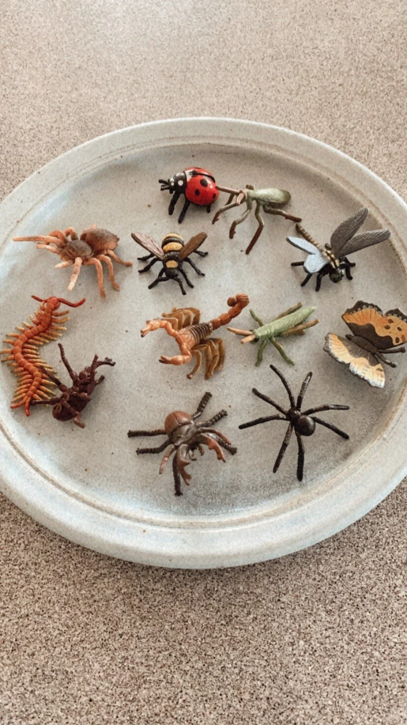 CollectA Wild Life Tube — Arts, Crafts, Nature and Sensory Play ...