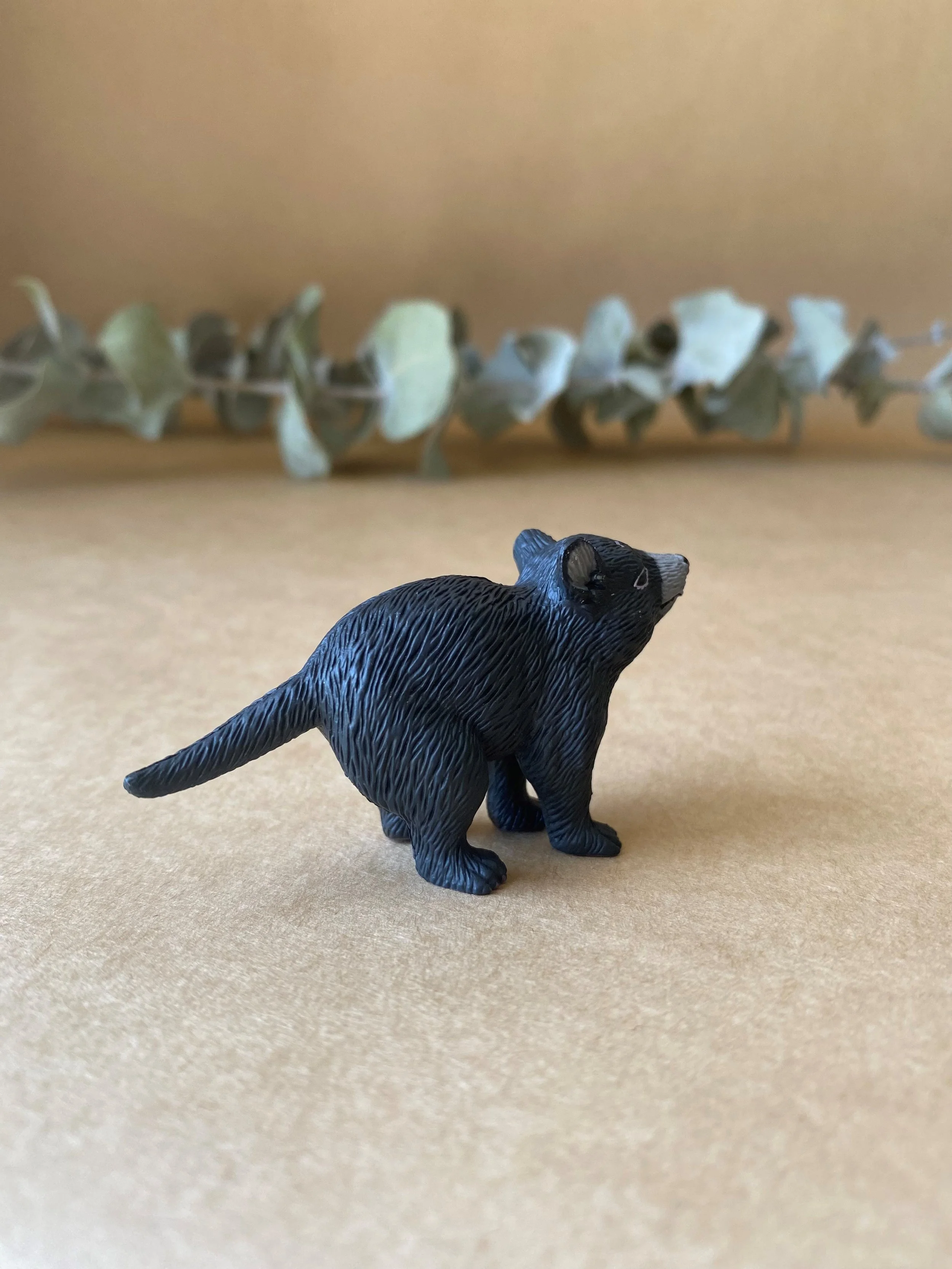 Tasmanian Devil — Arts, Crafts, Nature and Sensory Play Resources ...