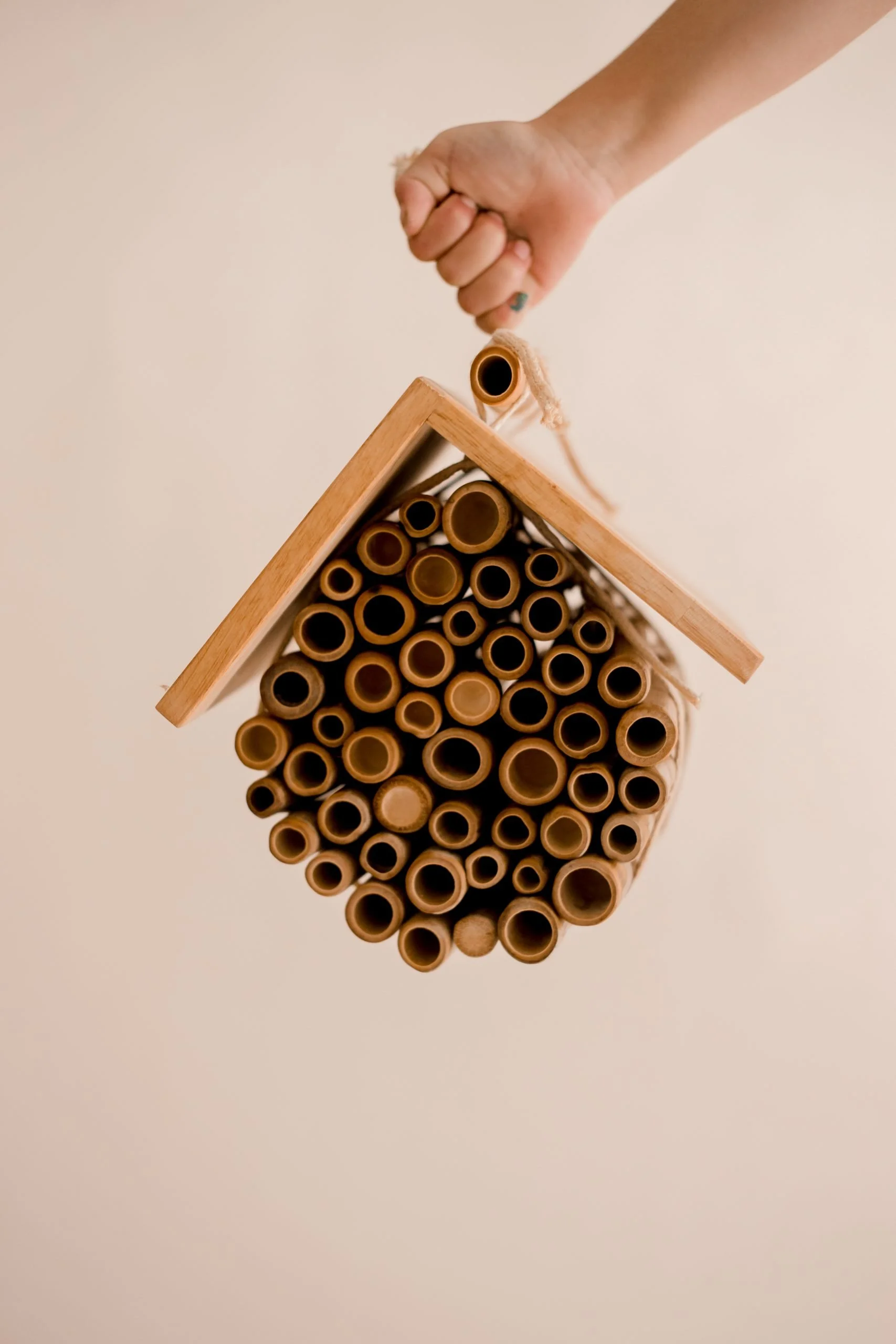 Arts, Crafts, Nature and Sensory Play Resources — Clever Bugs