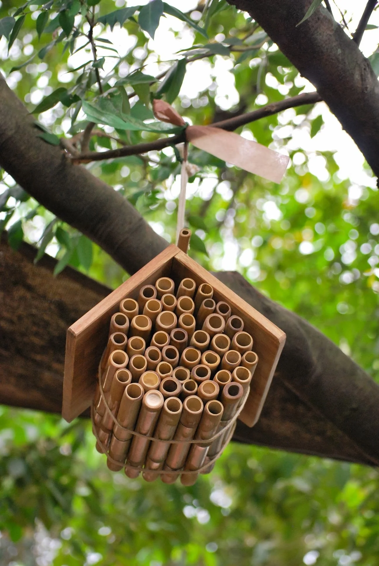 Arts, Crafts, Nature and Sensory Play Resources — Clever Bugs