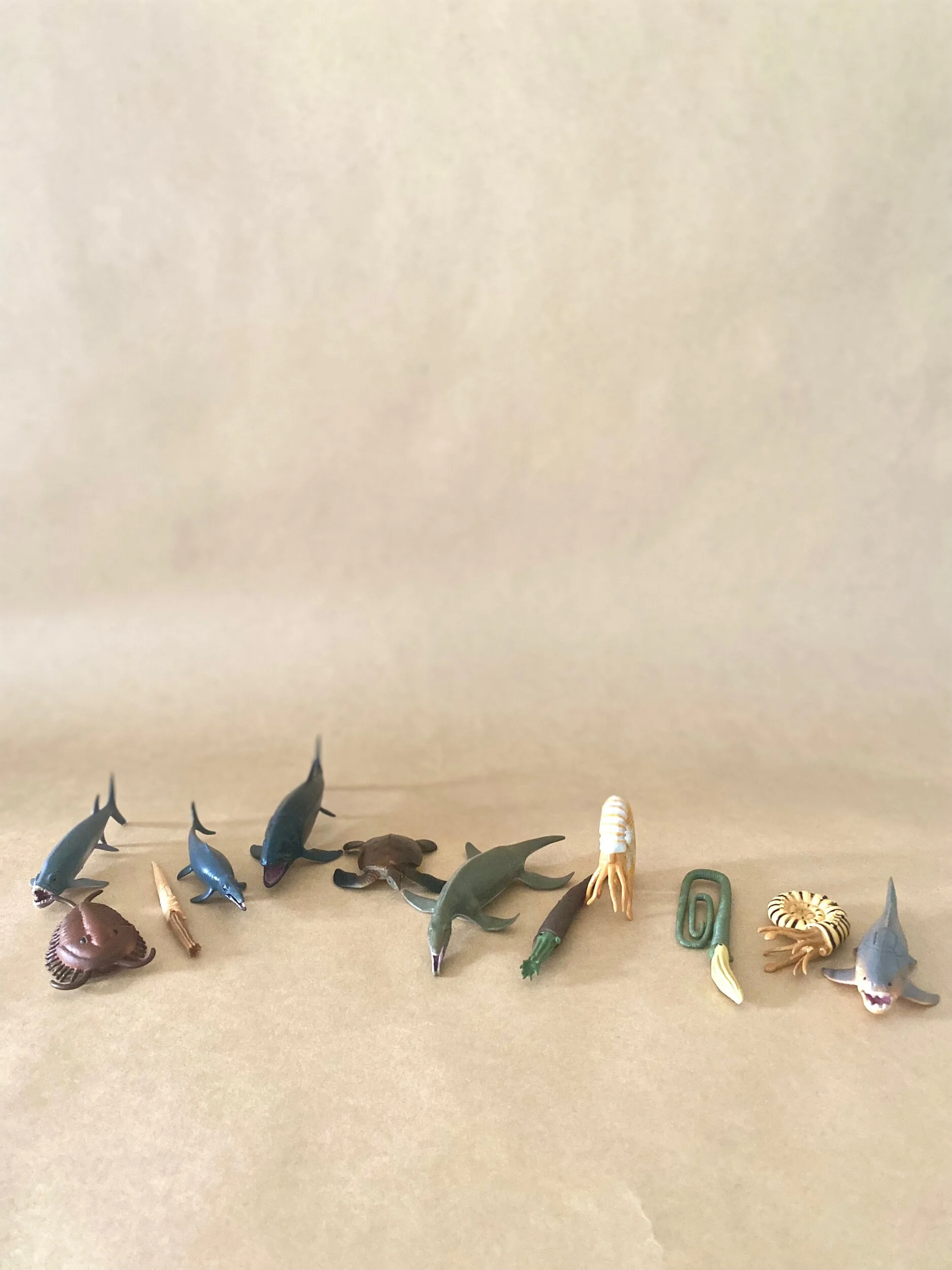 Humpback Whale — Arts, Crafts, Nature and Sensory Play Resources - Clever Bugs