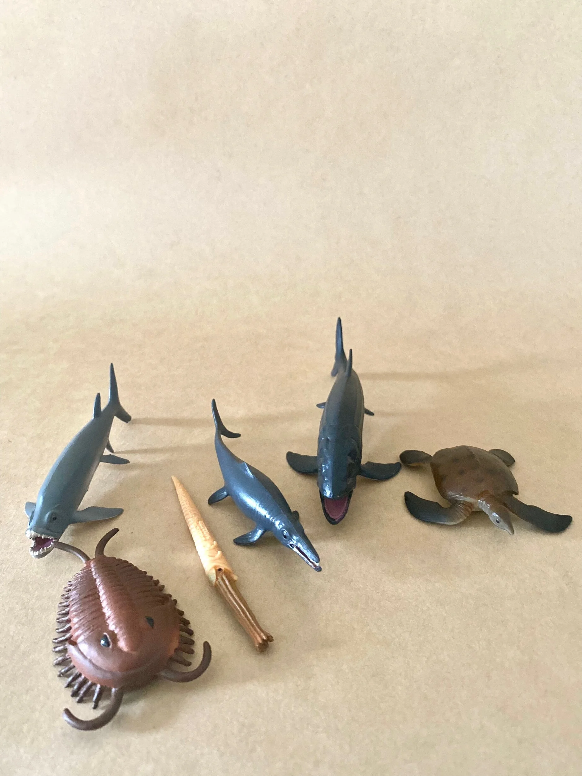 Humpback Whale — Arts, Crafts, Nature and Sensory Play Resources ...