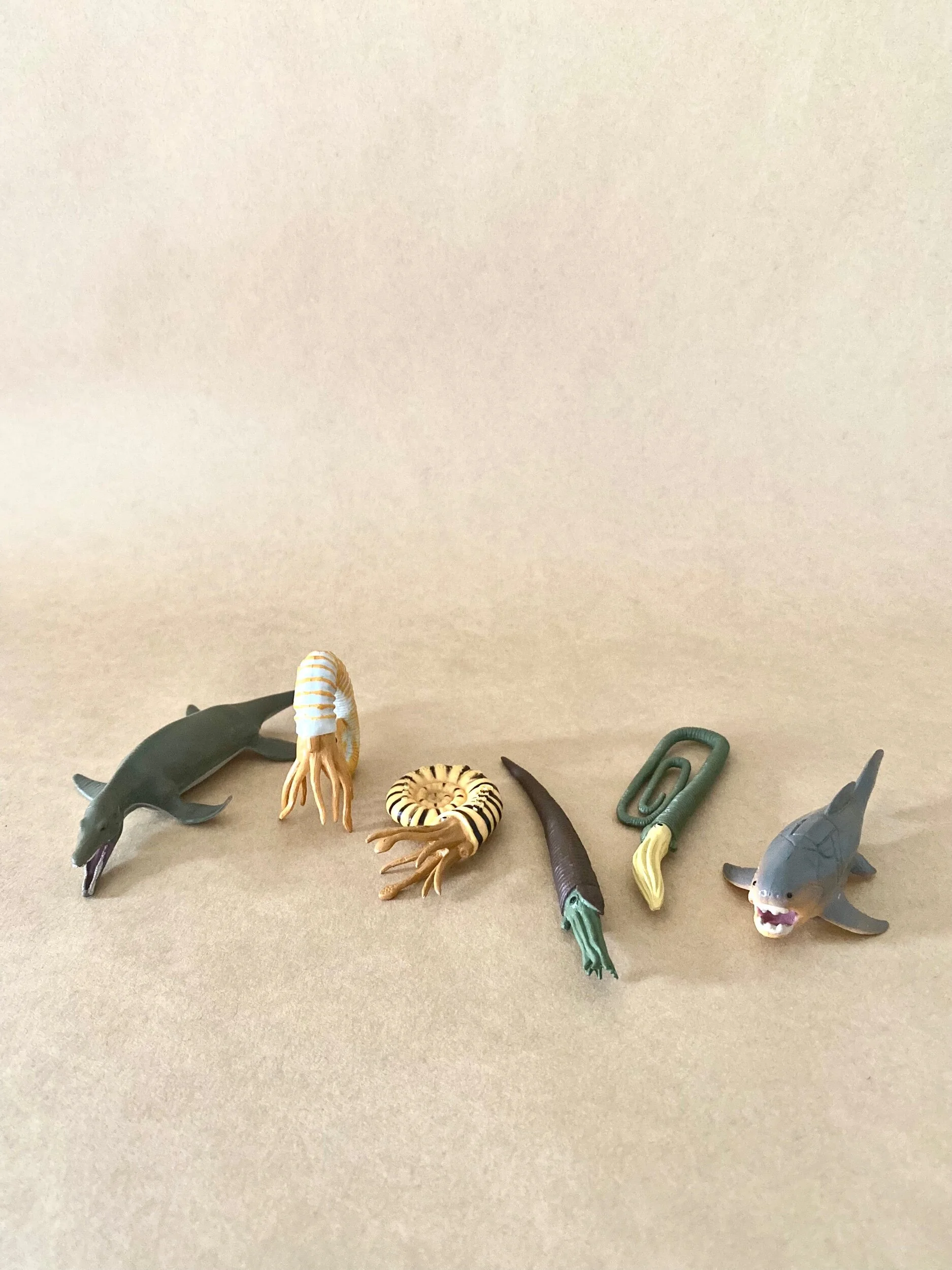 Humpback Whale — Arts, Crafts, Nature and Sensory Play Resources - Clever Bugs