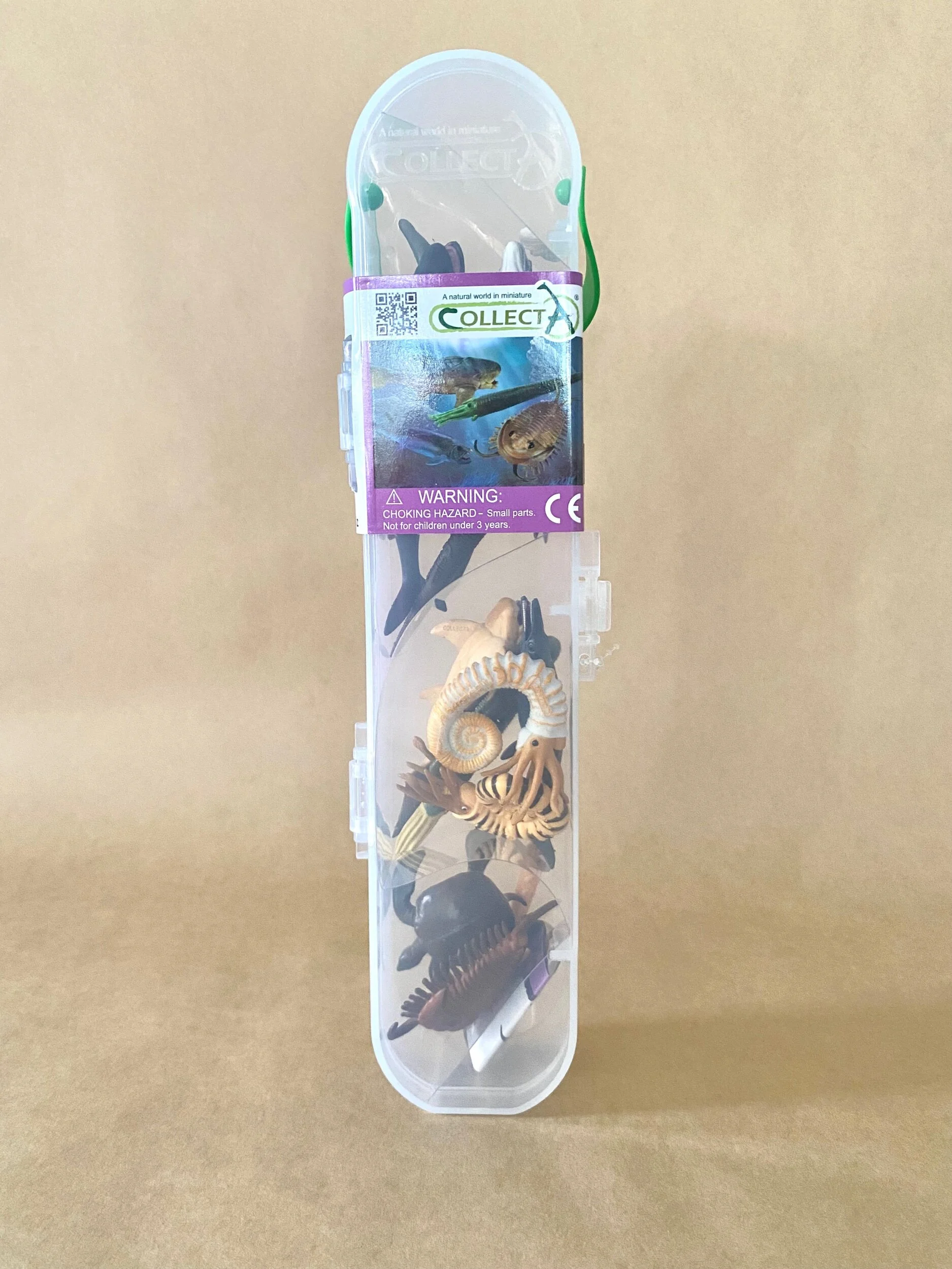 Humpback Whale — Arts, Crafts, Nature and Sensory Play Resources - Clever Bugs