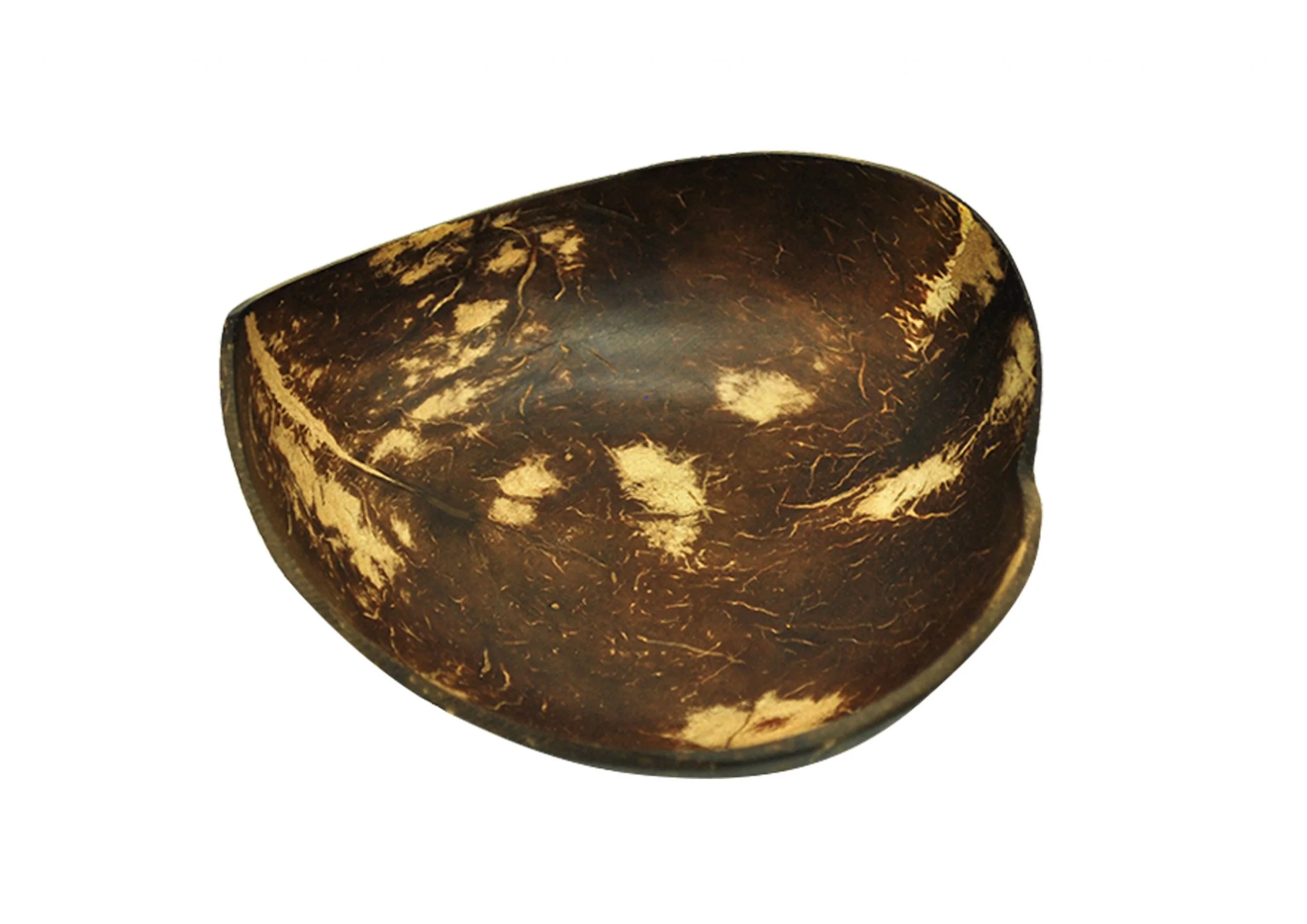 Coconut bowl — Arts, Crafts, Nature and Sensory Play Resources - Clever ...