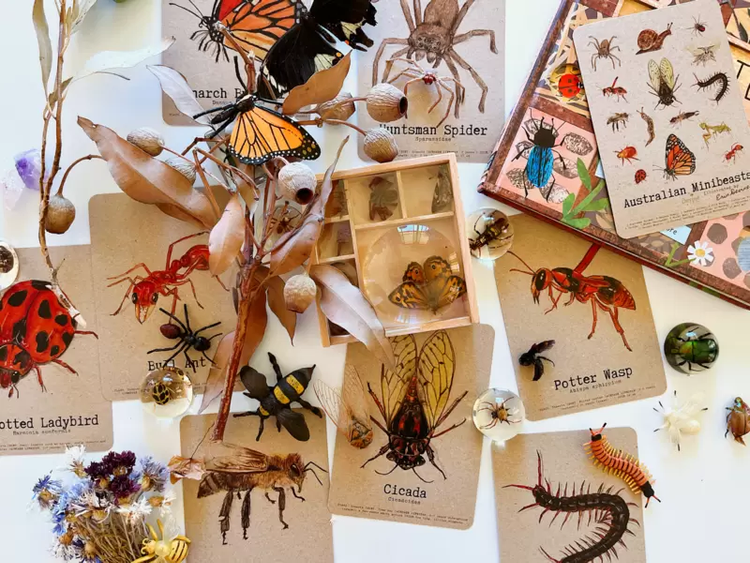 Aboriginal Symbols Flashcards — Shop Sensory Play, Nature Activities ...