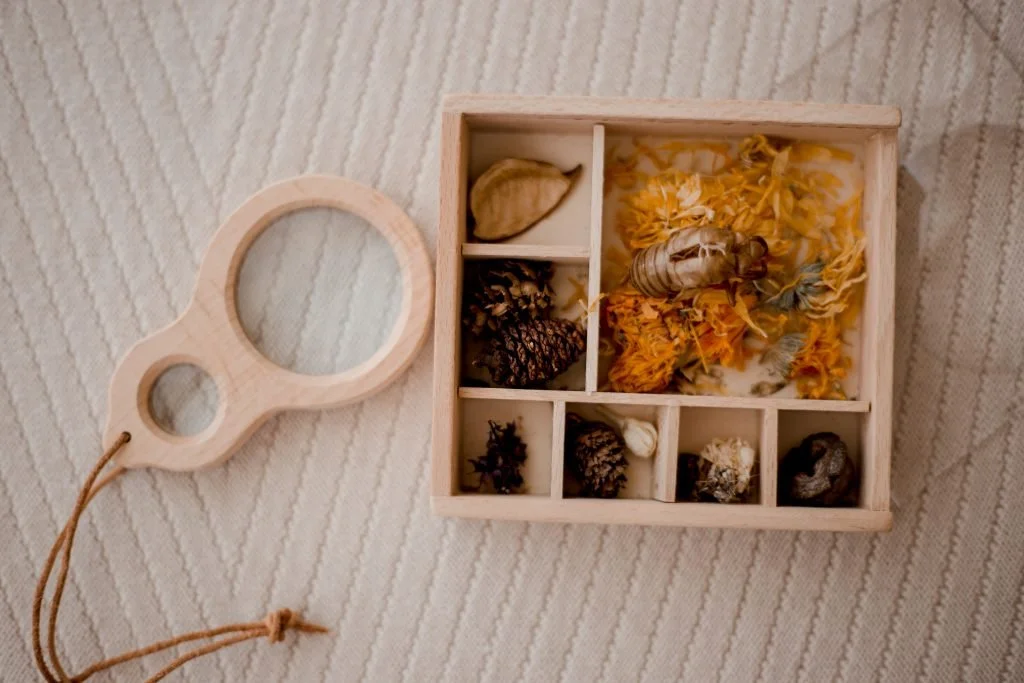 Pocket microscope — Arts, Crafts, Nature and Sensory Play Resources ...