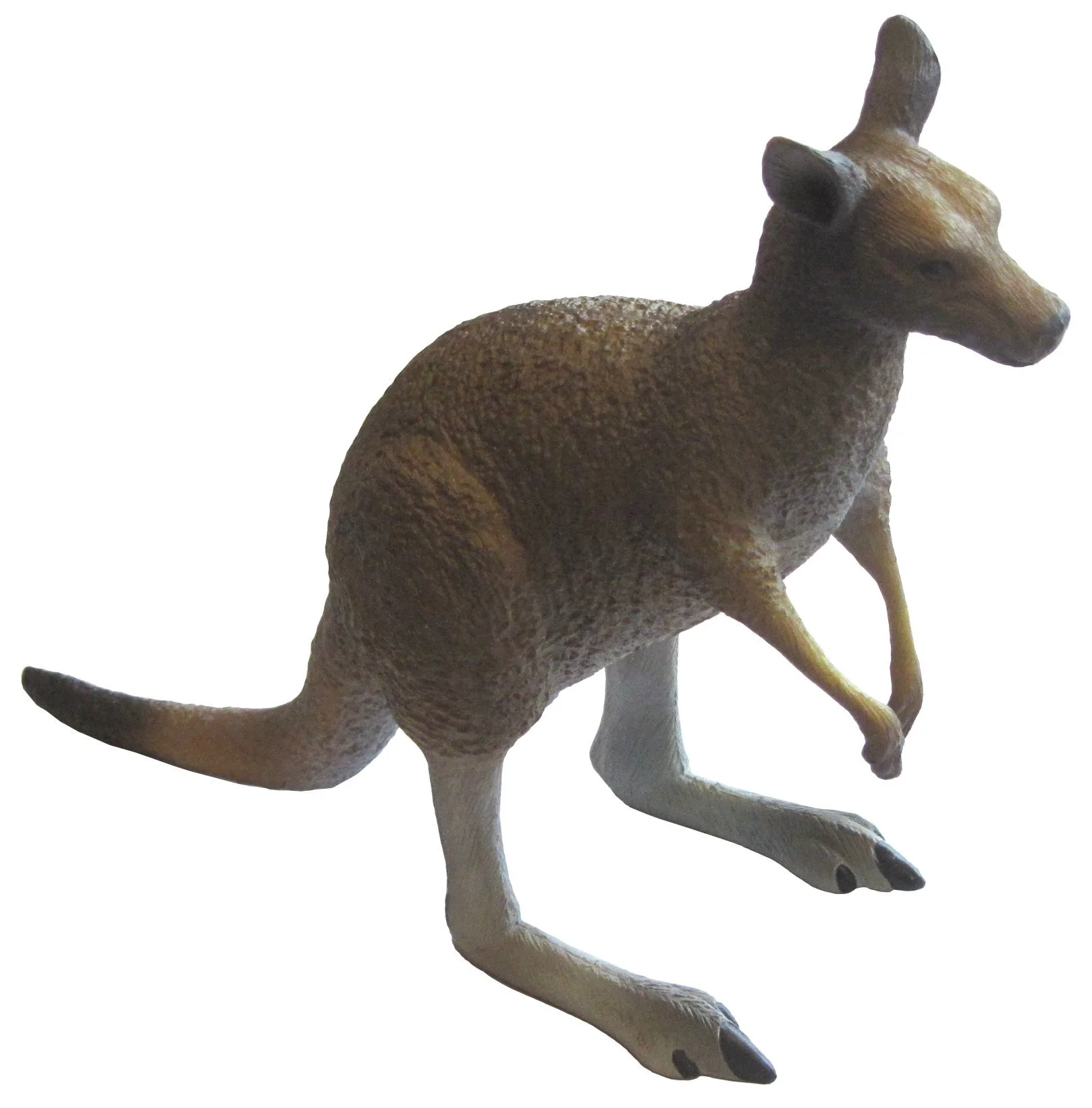 Kangaroo — Arts, Crafts, Nature and Sensory Play Resources - Clever Bugs