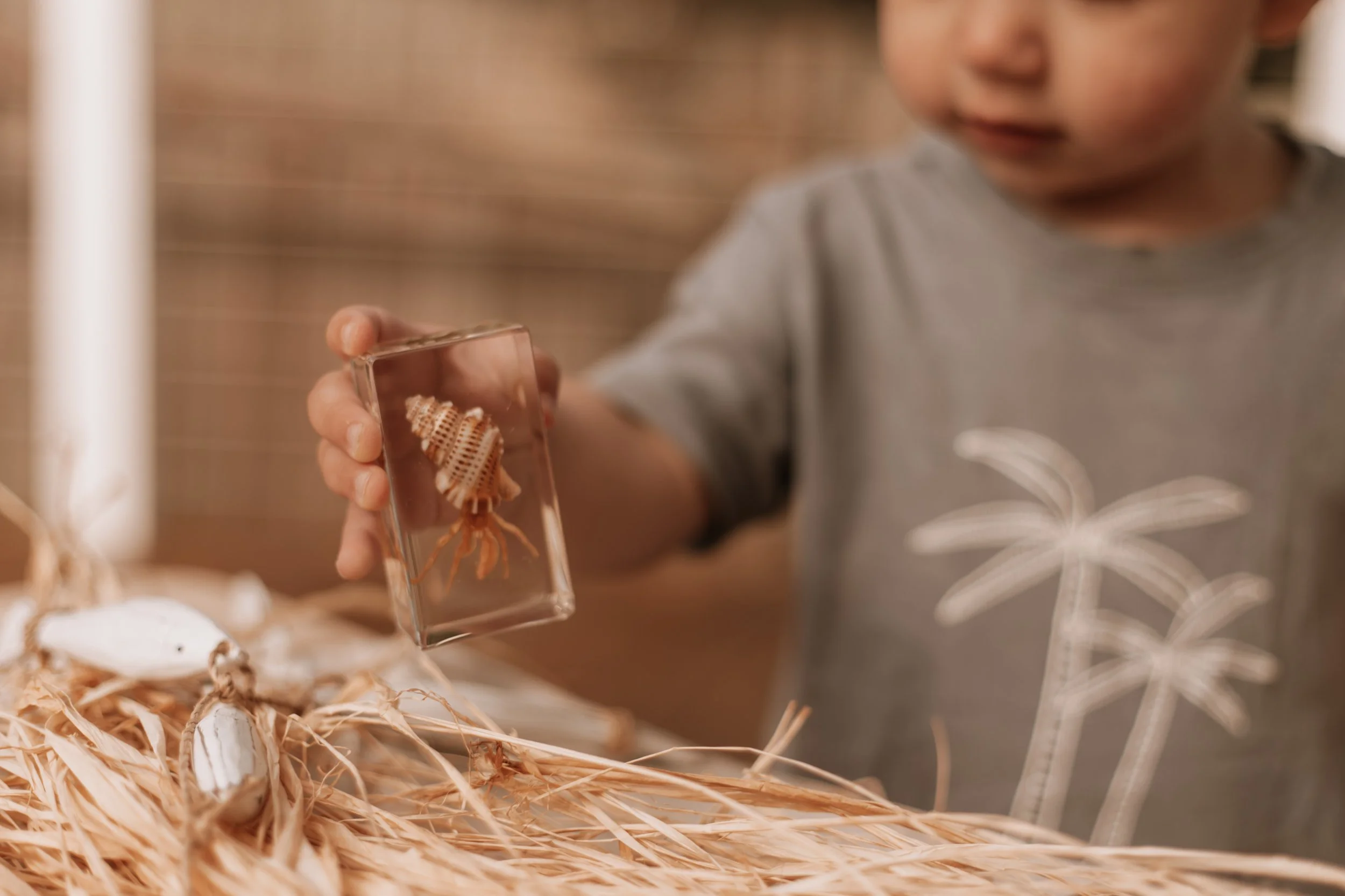 Garden Bug Specimen Set — Arts, Crafts, Nature and Sensory Play Resources - Clever Bugs